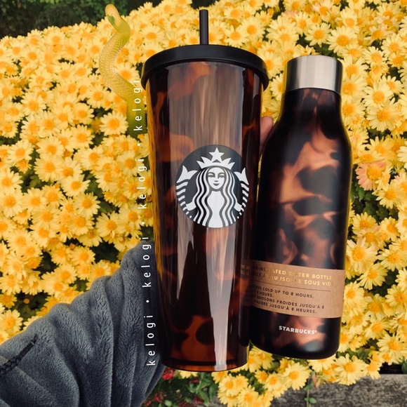 Starbucks | Other | New Starbucks Tortoise Cup Bundle | Poshmark